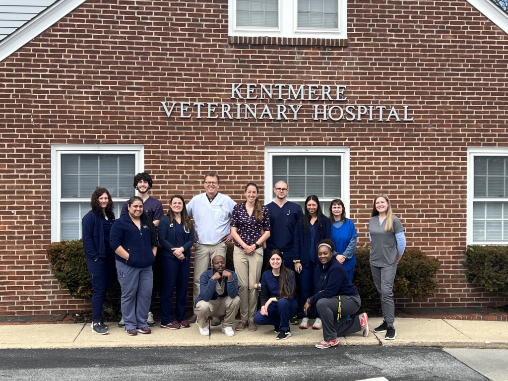 Kentmere Veterinary Hospital